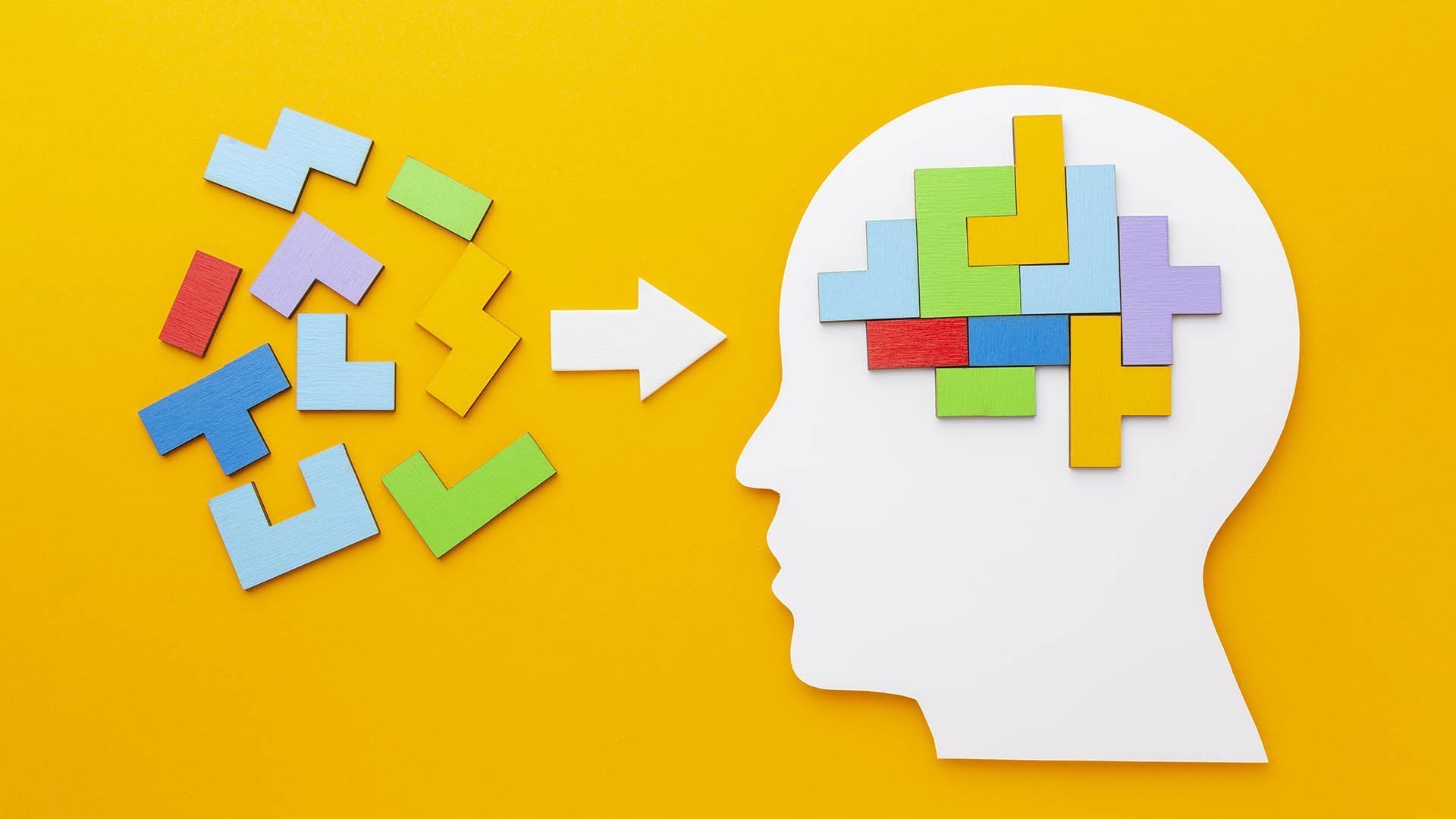 Desarrollo cognitivo | Growing Brains